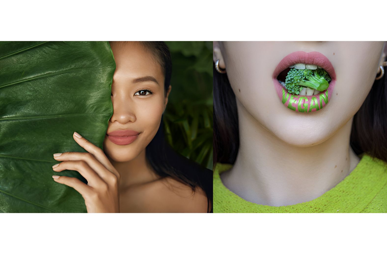 Best Vegan Makeup Brand in India - L Factor New York