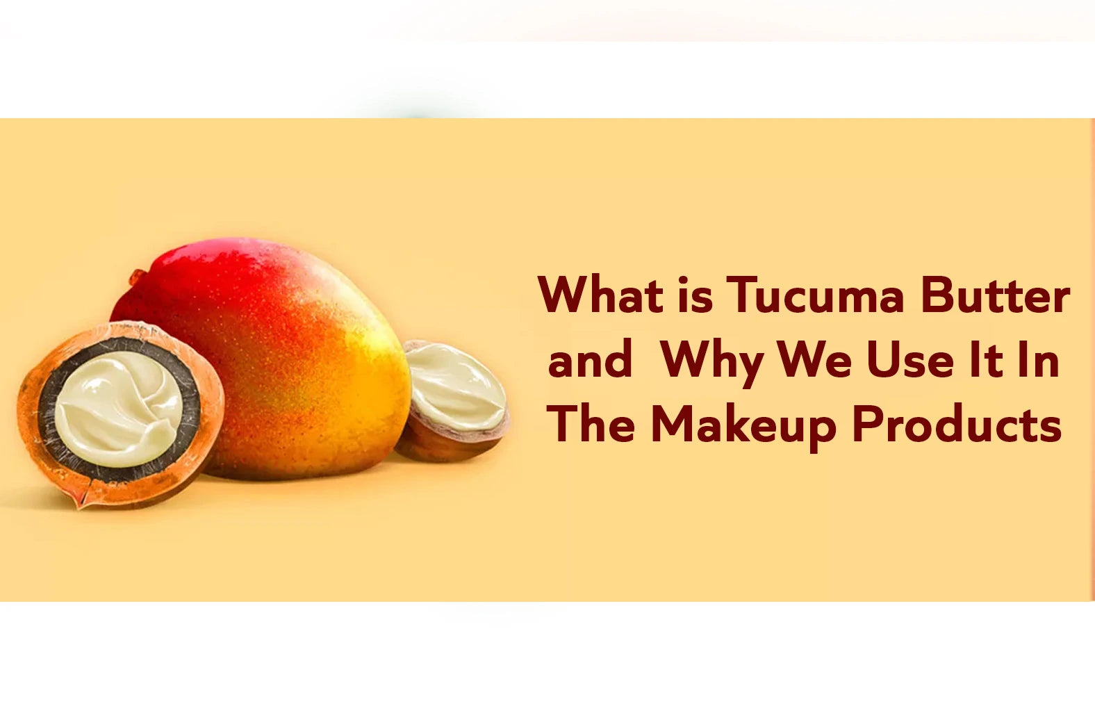 What is Tucuma Butter & Why We Use It In The Makeup Products – L Factor ...